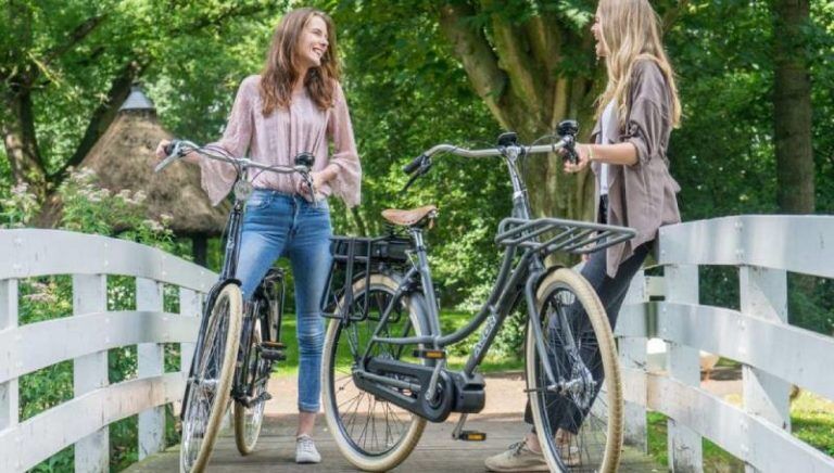 Best Dutch Bike Brands [7 Great Upright Bicycle Manufacturers]