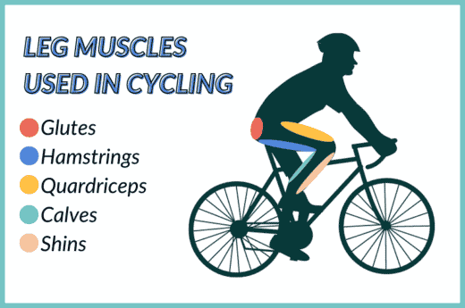 What Muscles Does Cycling Tone? [ANALYSIS]