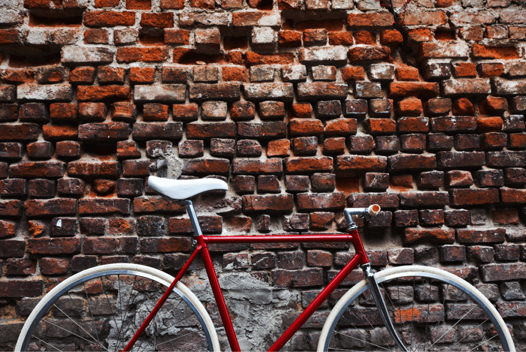 Single-Speed vs Fixed-Gear Bike: DIFFERENCES EXPLAINED