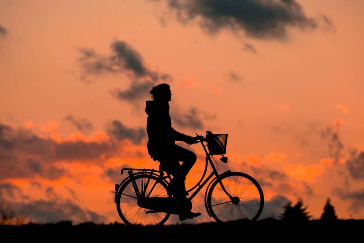 Bicycle Synonyms: 52 Other Names for Bike