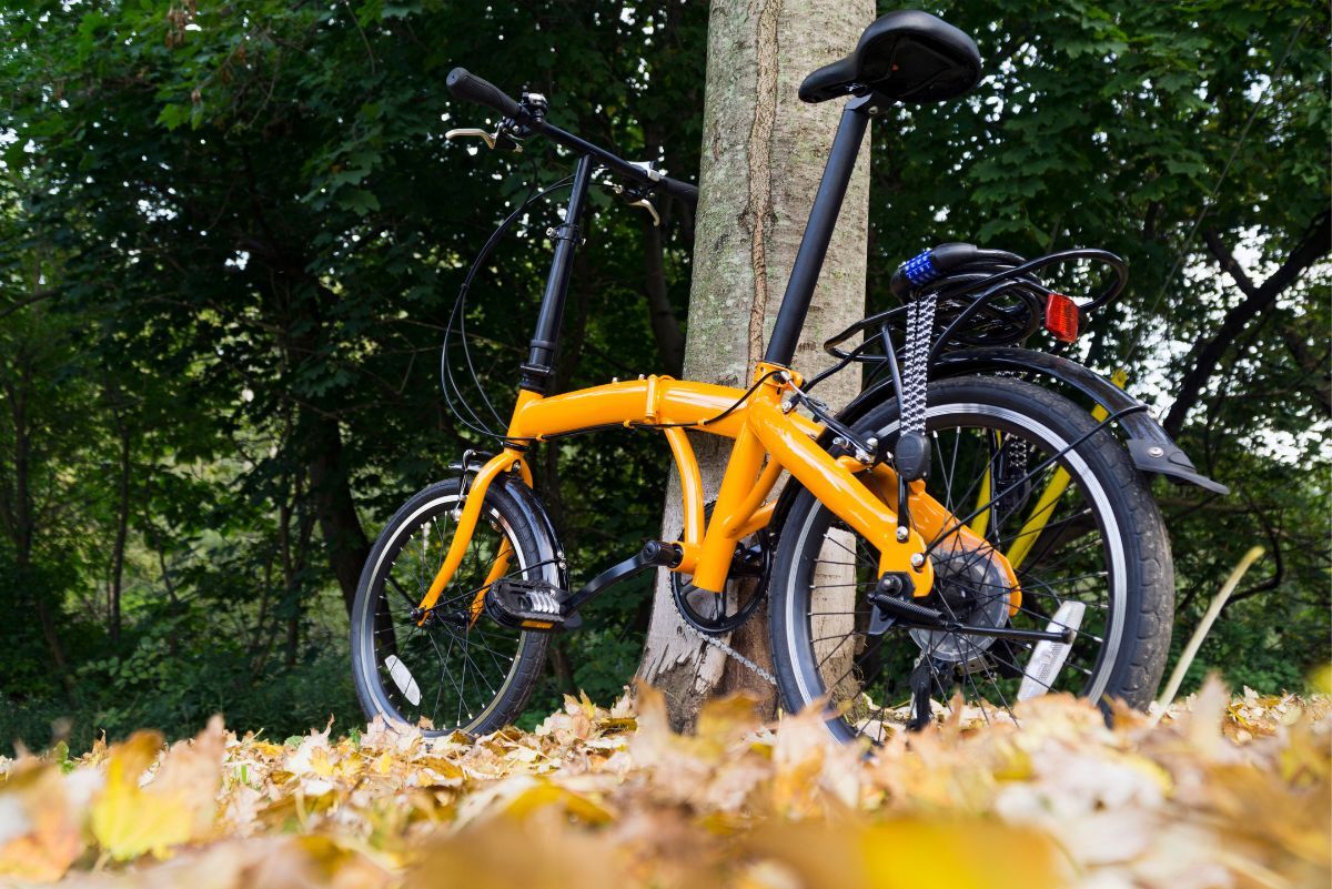 Folding Bike Review: What's It Like to Ride a Folding Bike?