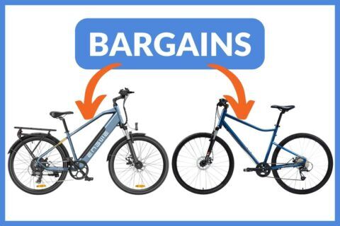 Best Dutch Bike Brands [7 Great Upright Bicycle Manufacturers]