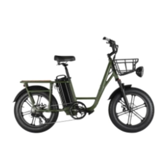 Fiido Review: Are Fiido's E-Bikes Actually Any Good?