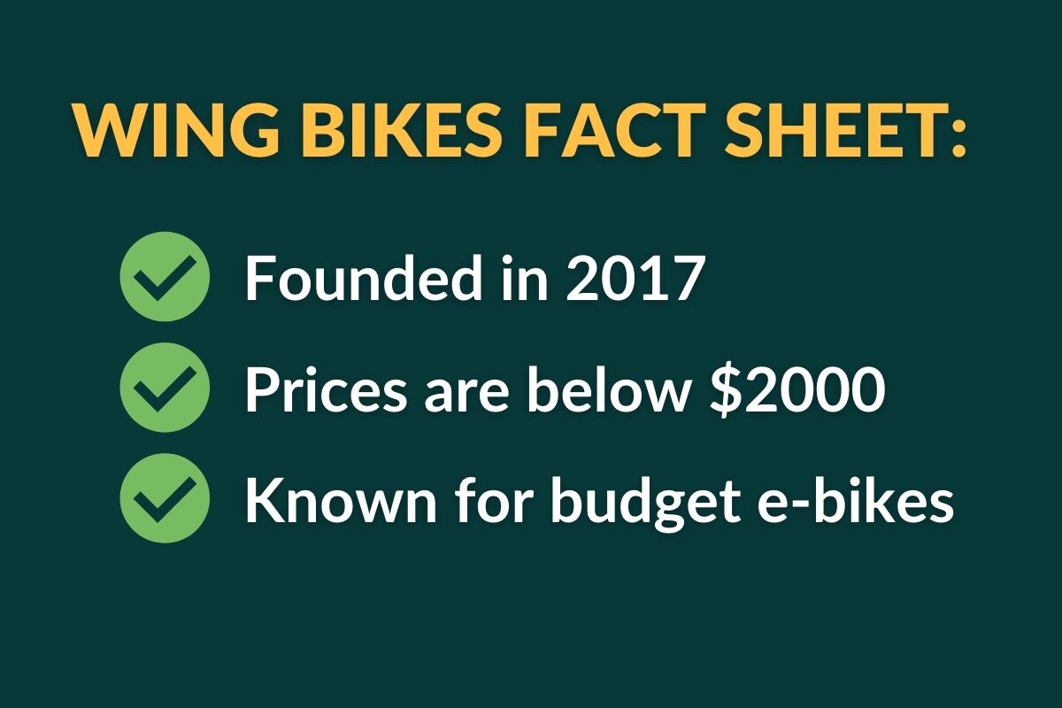 Wing Bikes Review: Are They Any Good?