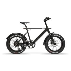 Wing Bikes Review: Are They Any Good?