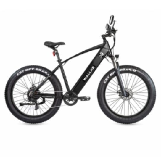 Wallke Review: Are Wallke E-Bikes Actually Any Good?