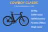 Cowboy Cruiser vs Classic: 3 Ways They ACTUALLY Differ