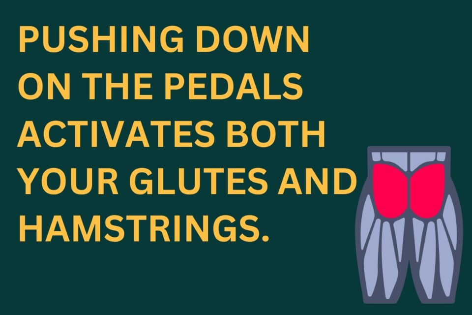 Effect of Cycling on Body Shape: 7 Biggest Changes