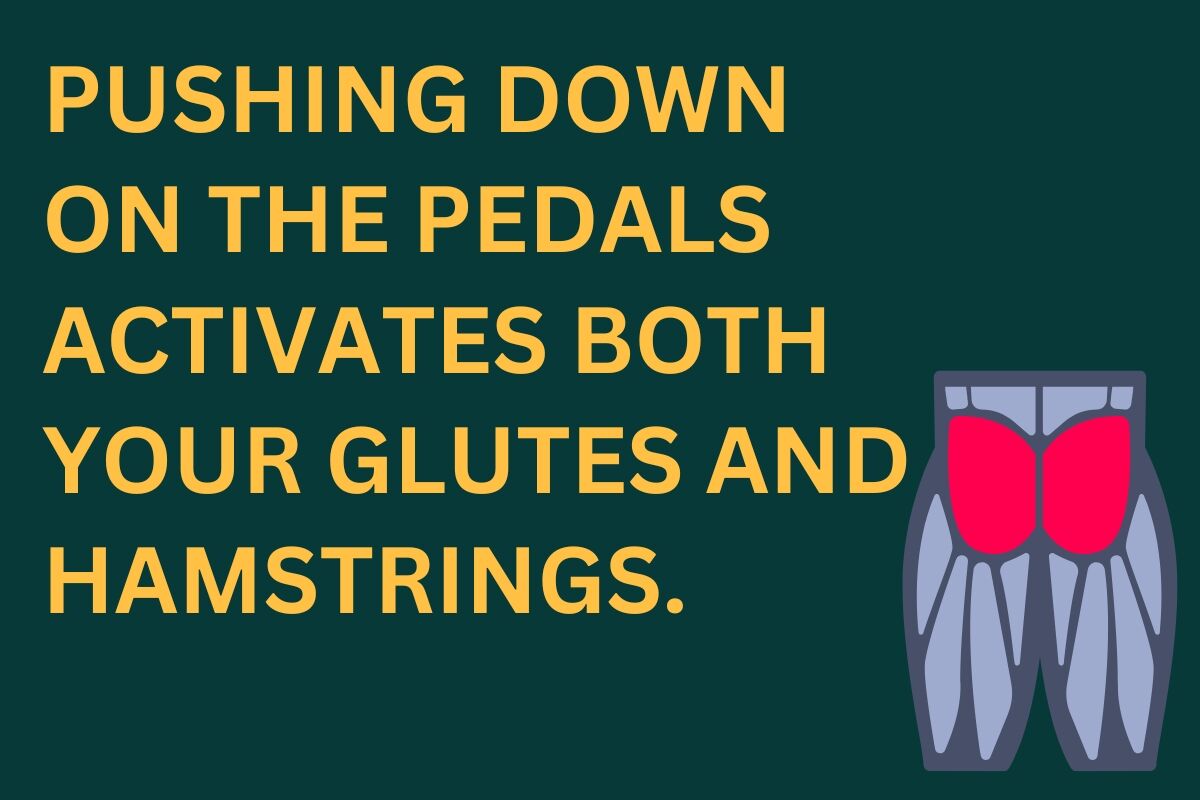 Effect of Cycling on Body Shape: 7 Biggest Changes