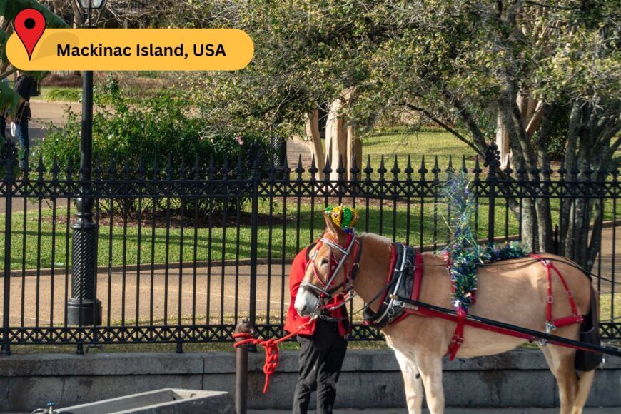 Car-Free Cities Around the World: 12 Great Urban Examples