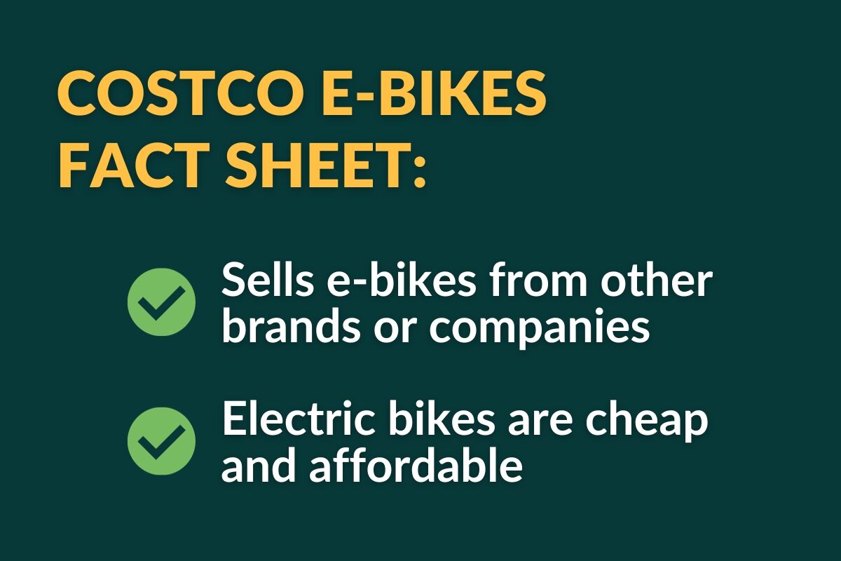 Costco Electric Bike Review: Are Costco E-Bikes Any Good?