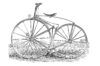 History of Bicycles: 5 Strange Bike Designs from the Past