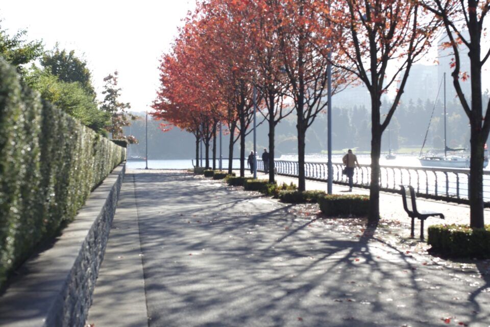 10 Breathtaking Urban Bike Paths Around the World