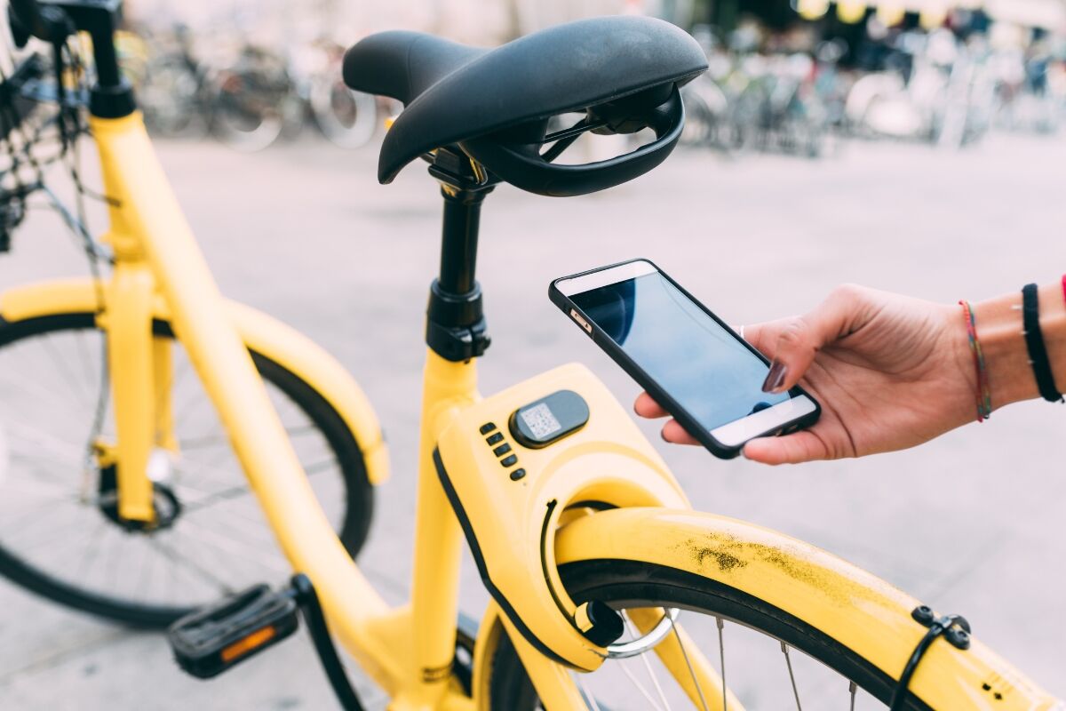 Bike-Sharing Schemes Are Much More Important Than You Think