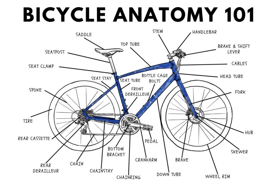 Bicycle Anatomy 101 Diagram: Finally Name Your Bike's Parts